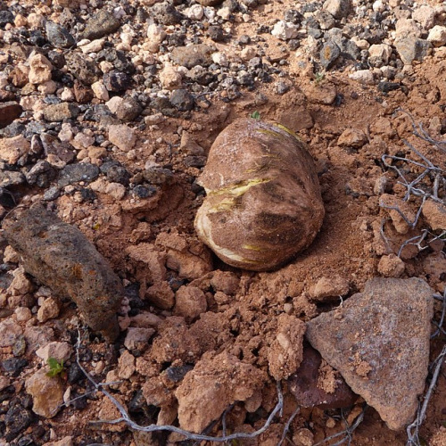 El Jable: Much More than Sand - Club Producto Turístico