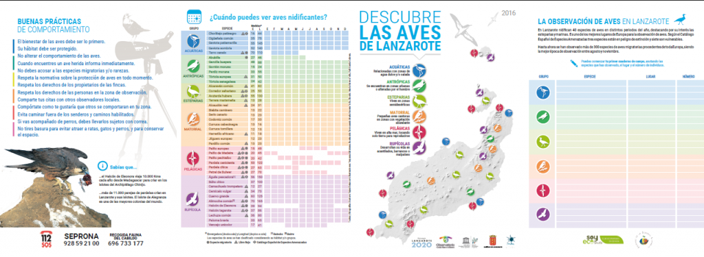 Entdecken Sie die Vögel Lanzarotes - Club Producto Turístico