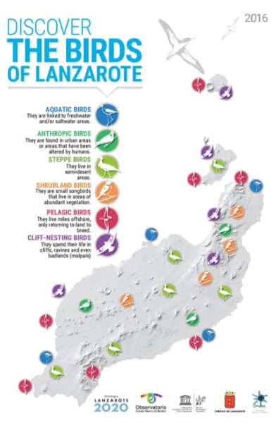 The Birds of Lanzarote (aves, vögel, oiseaux) - Club Producto Turístico