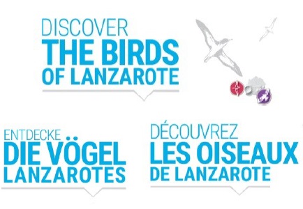 Die Vögel Lanzarotes - Club Producto Turístico